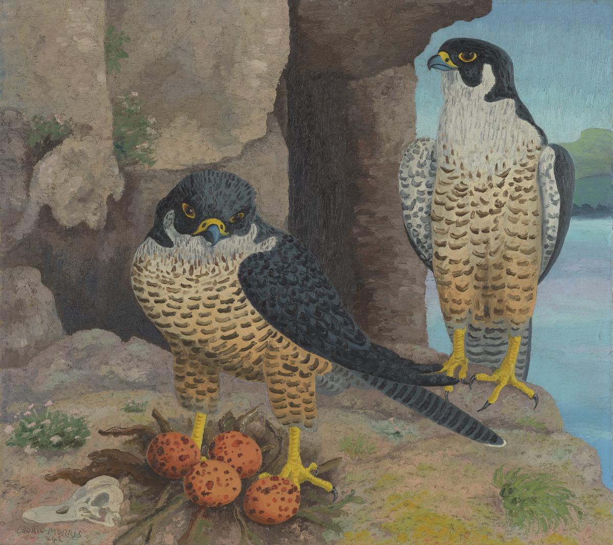 Birds (tour) - Art History Festival - Association for Art History